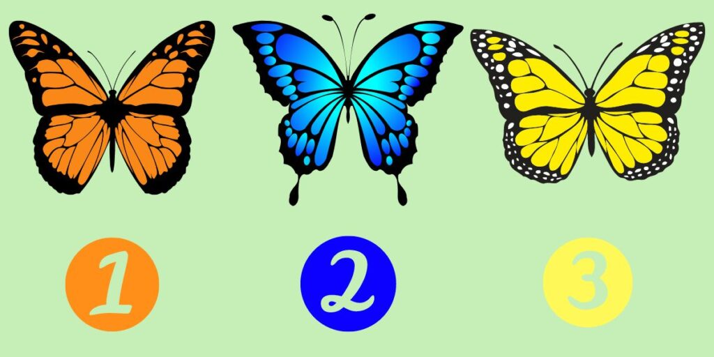 Unlock Your Imagination with the Butterfly Personality Test