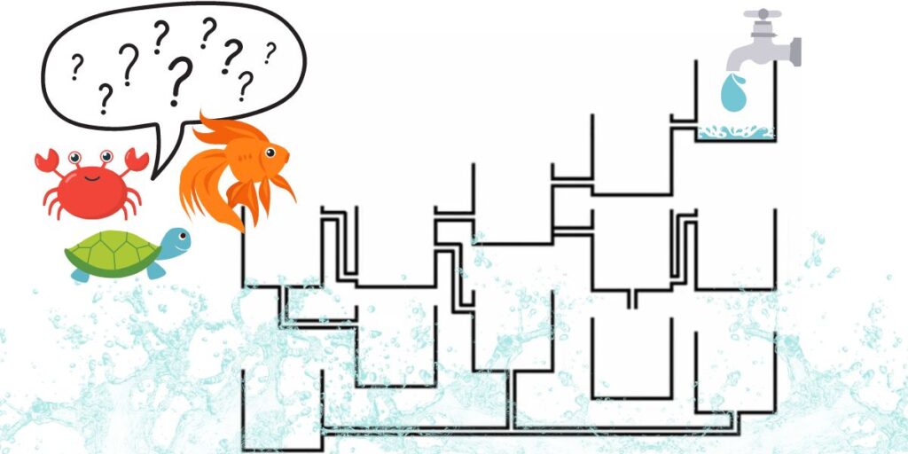 Can You Solve This 12 Max Water Tank Challenge? Test Your IQ!