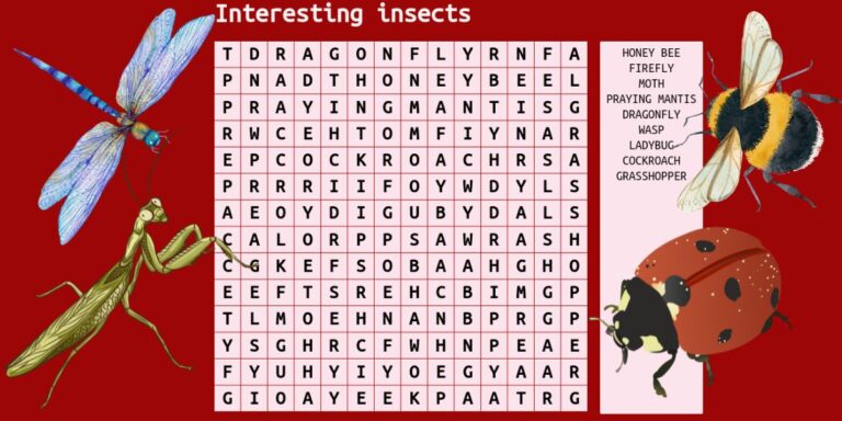 Brain Teaser:Test Your IQ with the Insect Wordsearch Challenge