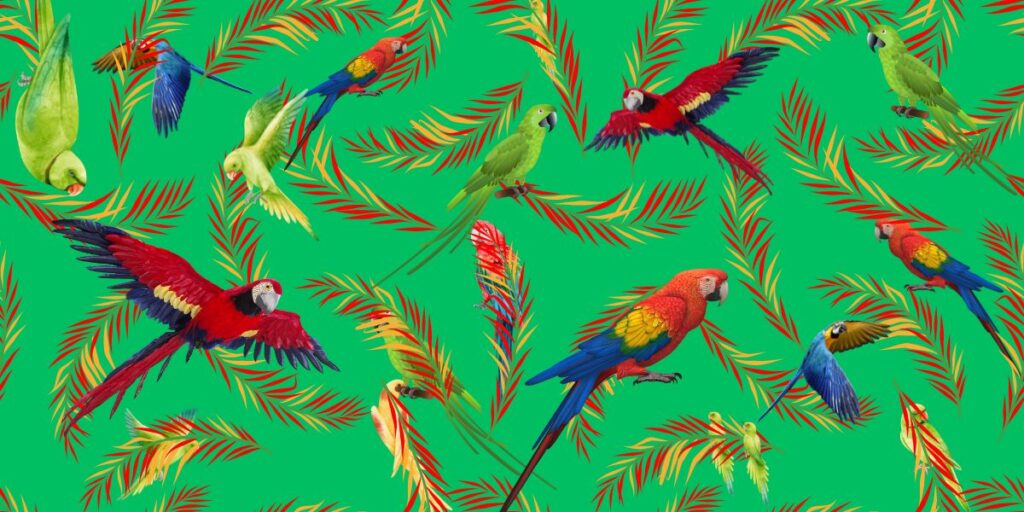 Test Your Speed: Spot the Parrots in 13 Seconds or Less!