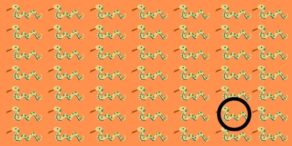 Beat the Odd One Out Challenge in 9 secs. Find the odd Snake!