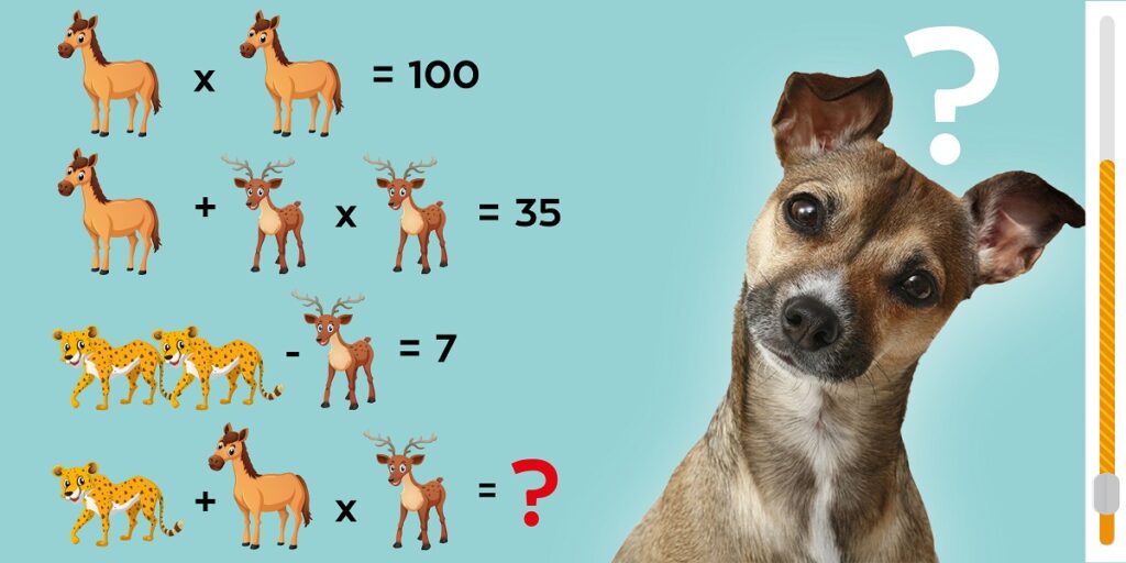Test your IQ: solve this animal brain teaser in 8 seconds!