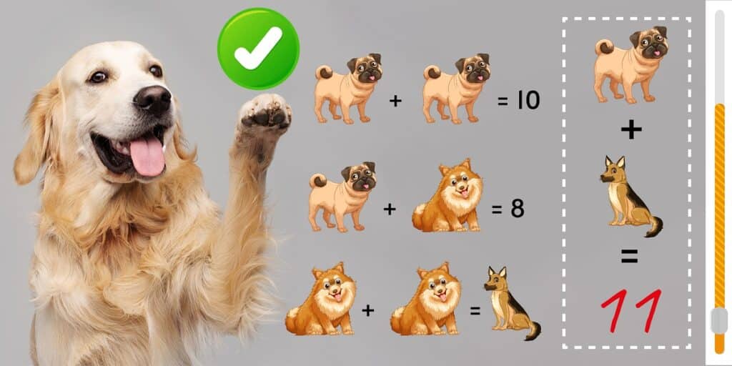 Brain Teaser; crack the code and solve the animal equation in 10s