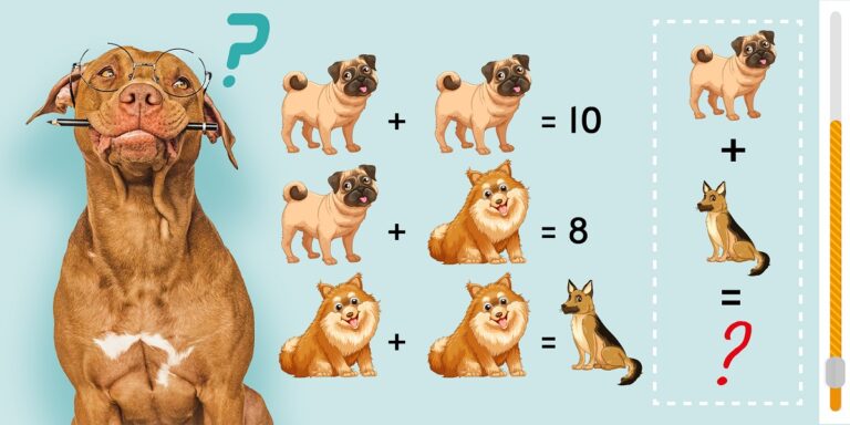 Brain Teaser; crack the code and solve the animal equation in 10s