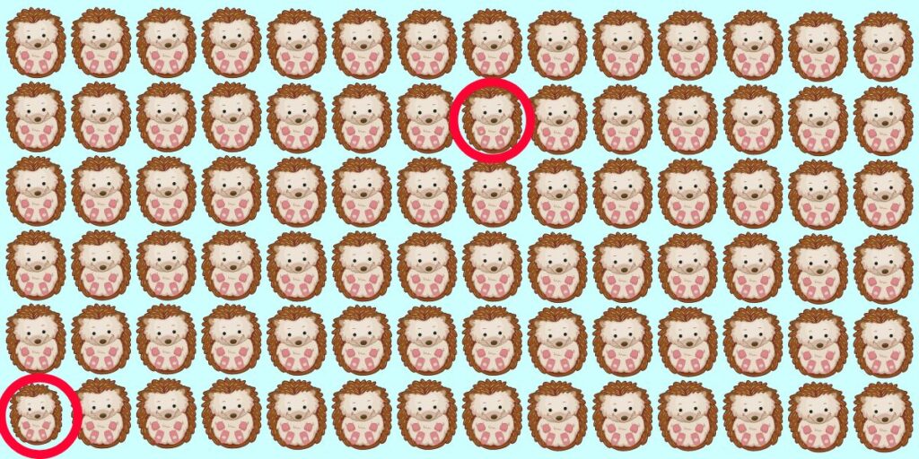 Can You Spot the Odd Hedgehogs Out in 10s?