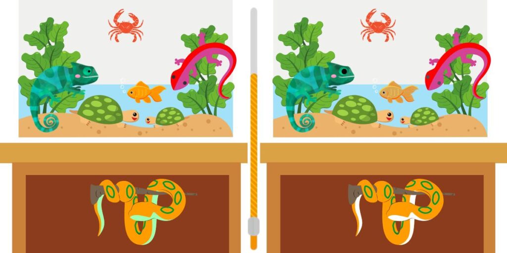 Can You Spot 6 Reptile Tank Differences in 20 Secs?
