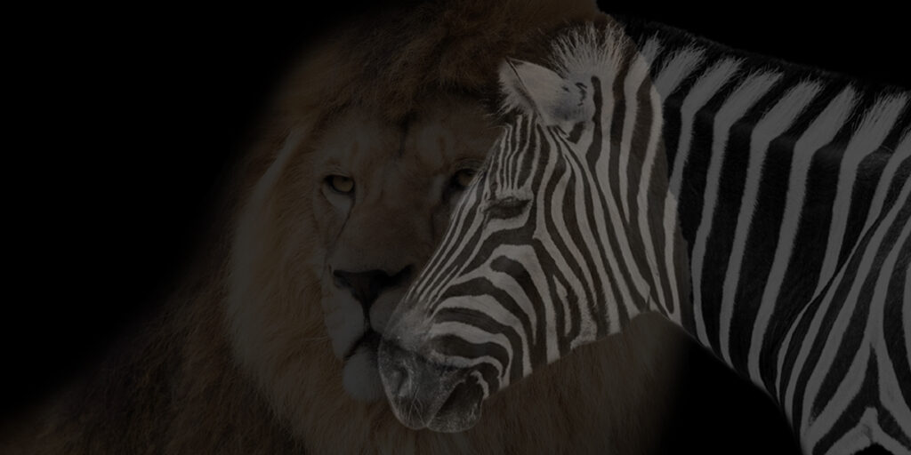 Discover Your True Self with this Wild Animal Personality Test!