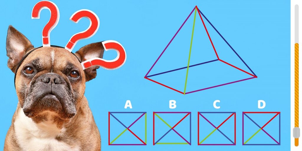 Test your iq with this crack the code animal brain teaser
