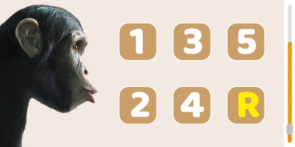 Test Your Wits with This Number Sequence Brain Teaser"