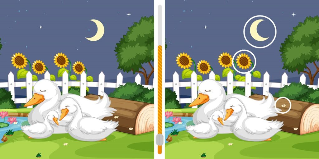 Can you spot the difference challenge: find 3 differences in two almost ...