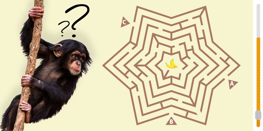Can You Solve This Animal Maze Brain Teaser in 5 Seconds?